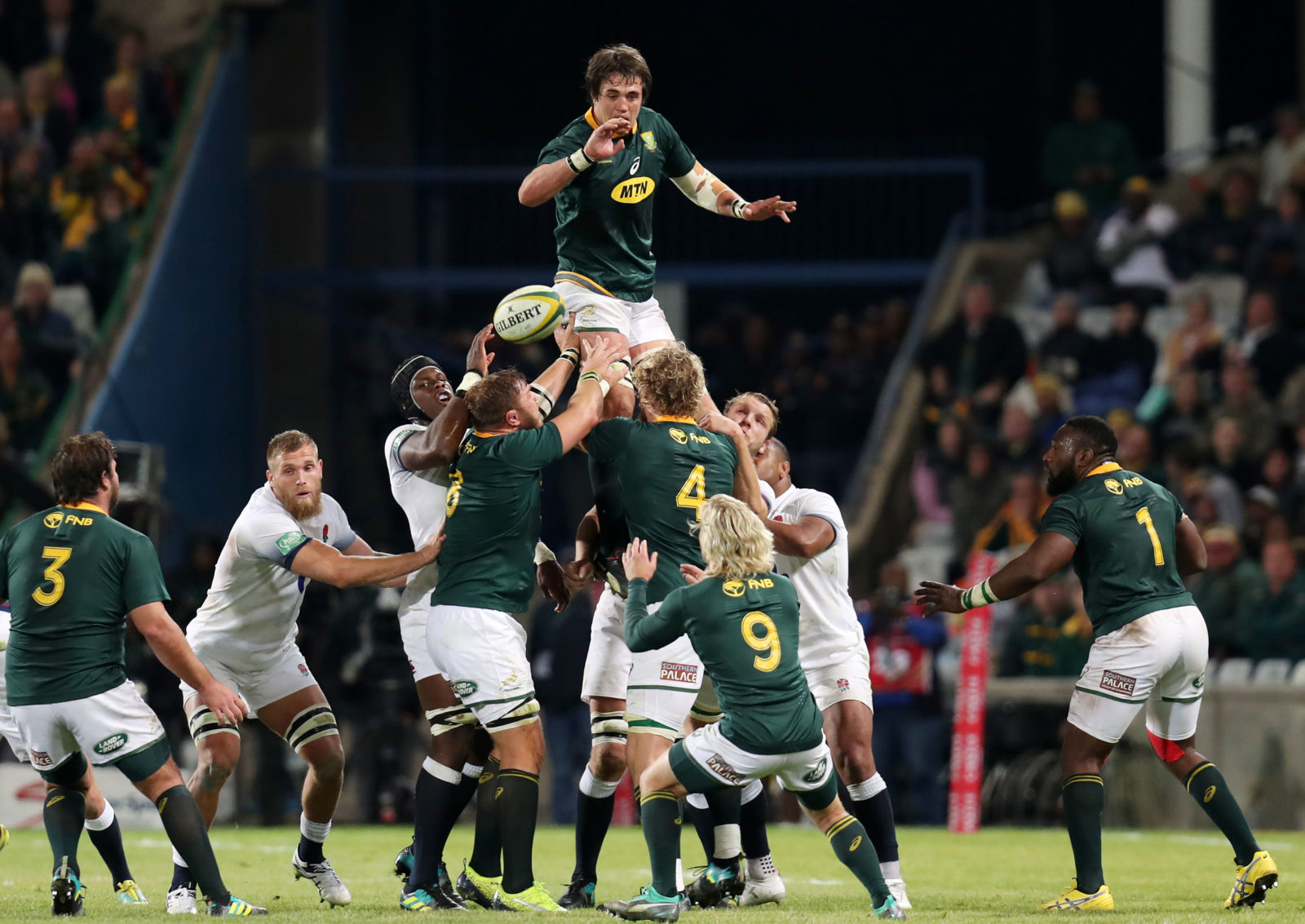 SPRINGBOKS: A CREAKING MACHINE RARING TO GO – Modular Sessions